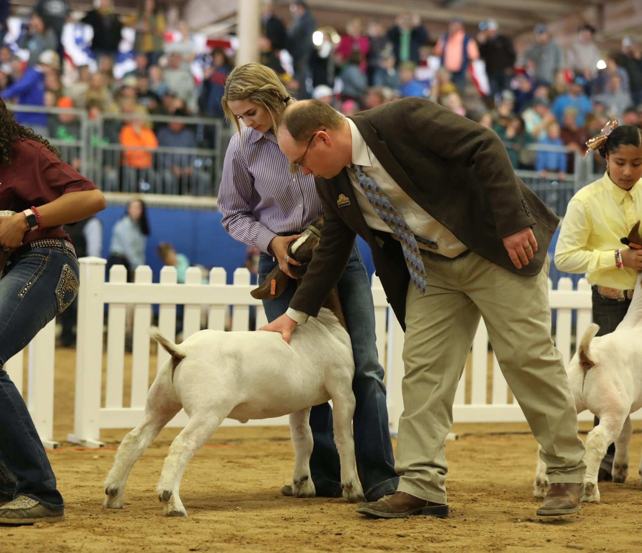 Youth & AG Programs - Rodeo Austin