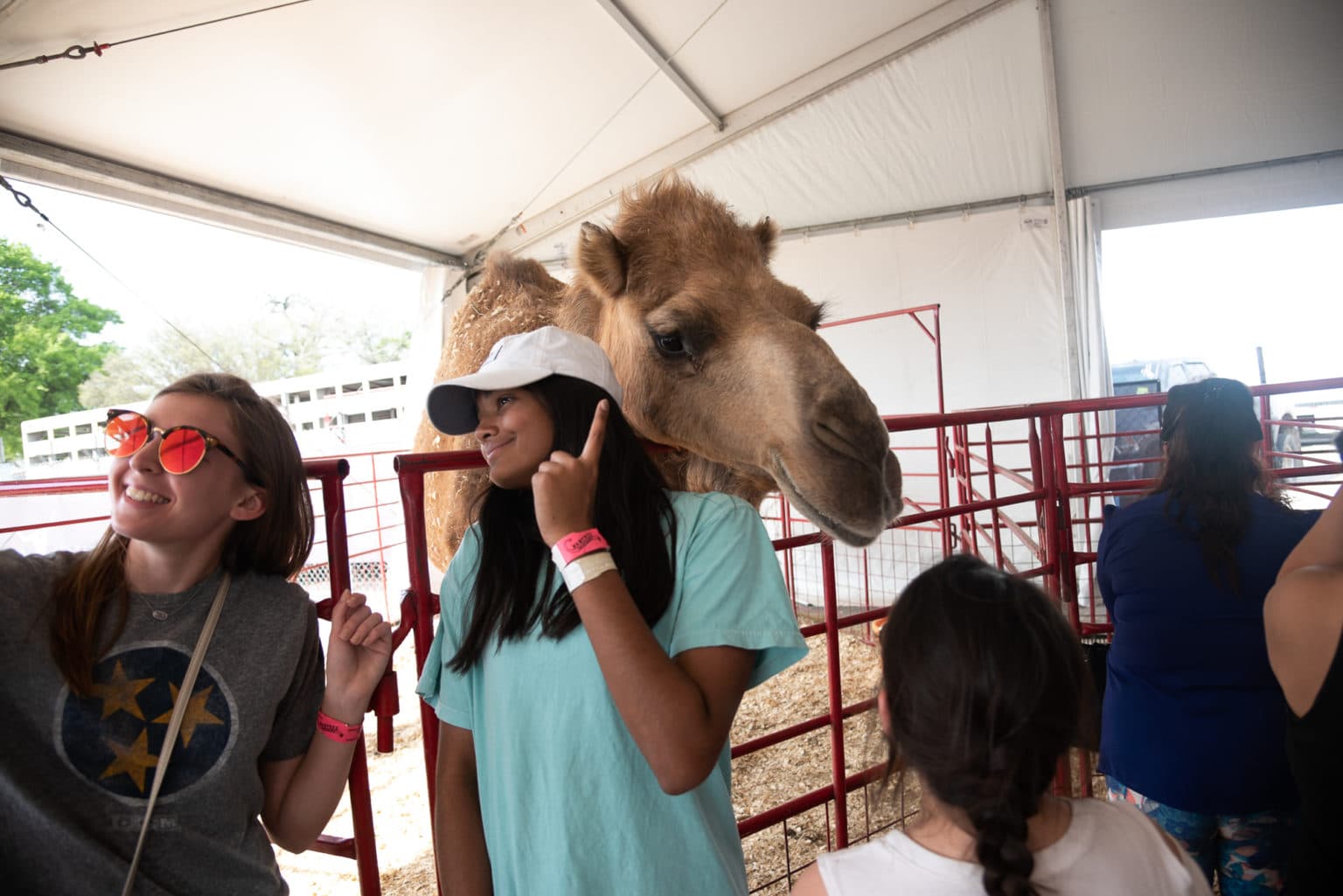 Fairgrounds - Rodeo Austin