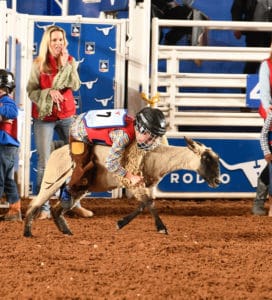 Tickets - Rodeo Austin